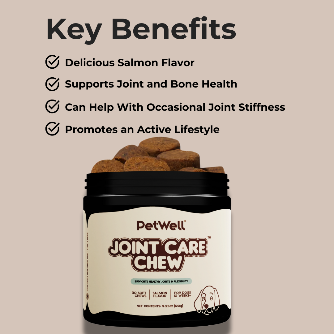 Probiotic Chew – PetWell
