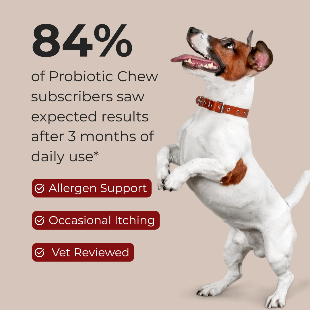 Probiotic Chew – PetWell